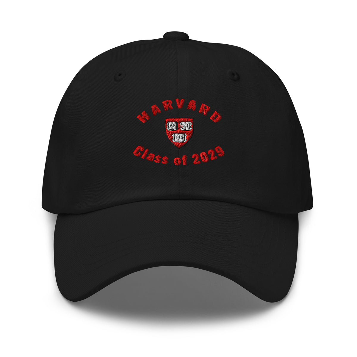 Class of 2029 Dad Hat — Alma Mater