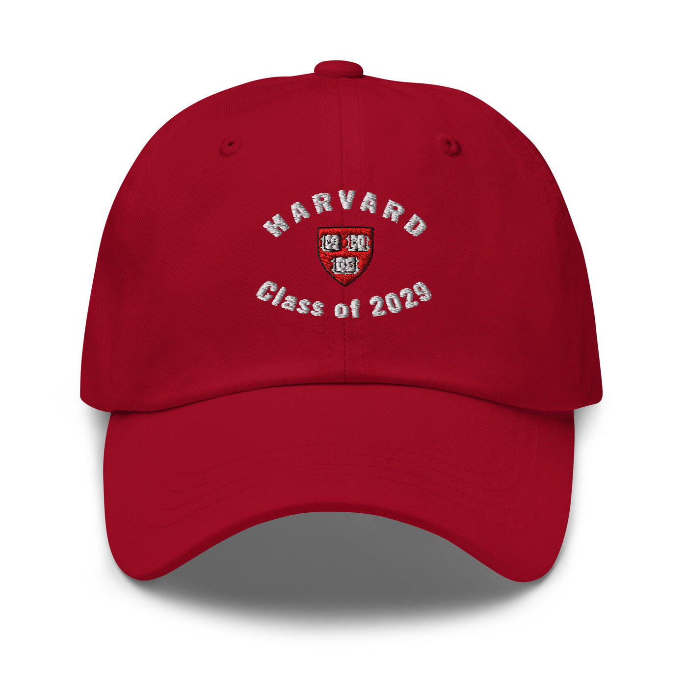 Class of 2029 Dad Hat — Alma Mater