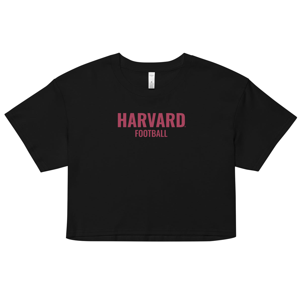 Harvard Football Crop Top — Alma Mater